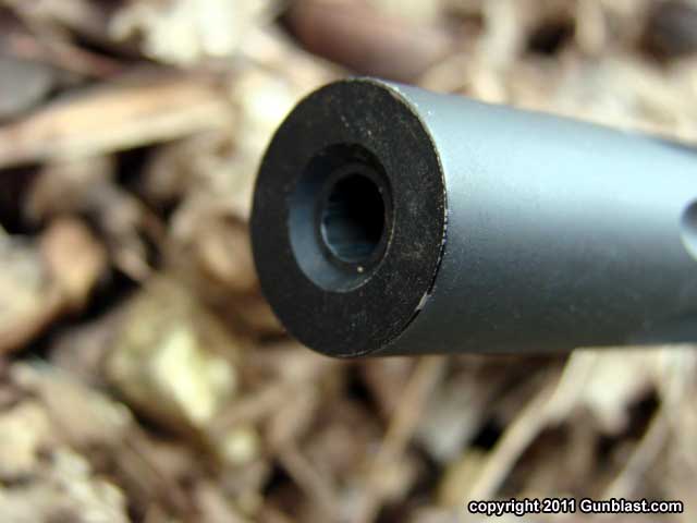 DPMS Prairie Panther 223 Remington Semi-Auto Hunting Rifles