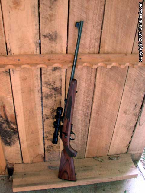 Model Five | Rimfire Central Firearm Forum