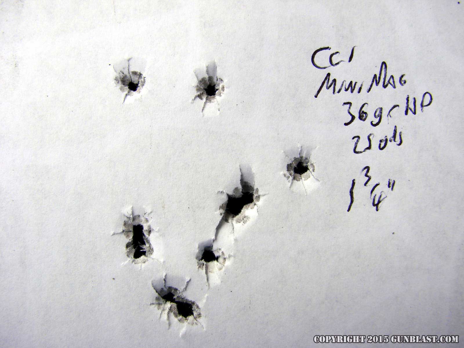 Ruger Ten-Shot 22 Long Rifle GP100 Revolver