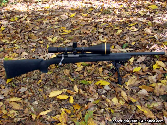 Ruger Tactical .308 Bolt Action Rifle | Taurus Firearm Forum