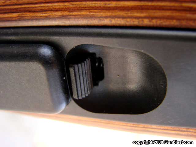 Savage Model 25 .223 Caliber Lightweight Varminter Bolt-Action Rifle