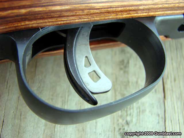 Savage Model 25 .223 Caliber Lightweight Varminter Bolt-Action Rifle