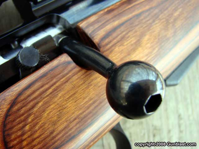 Savage Model 25 .223 Caliber Lightweight Varminter Bolt-Action Rifle