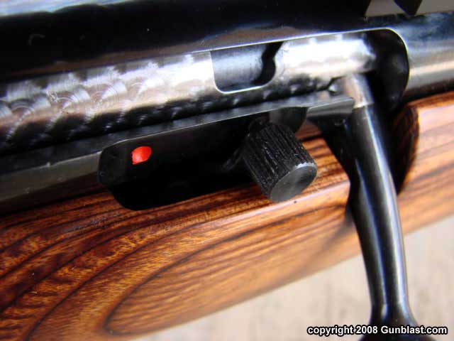 Savage Model 25 .223 Caliber Lightweight Varminter Bolt-Action Rifle