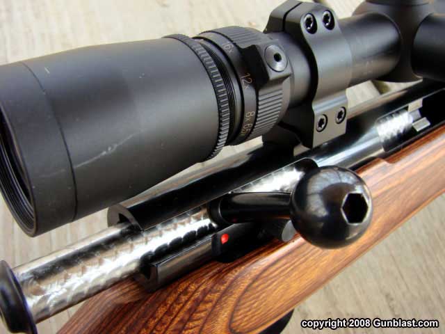 Savage Model 25 .223 Caliber Lightweight Varminter Bolt-Action Rifle