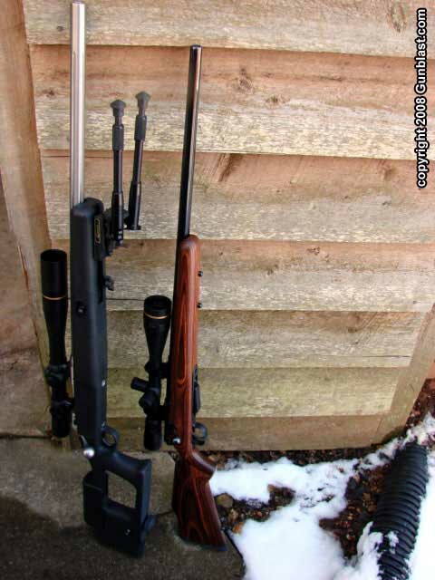 Savage Model 25 .223 Caliber Lightweight Varminter Bolt-Action Rifle