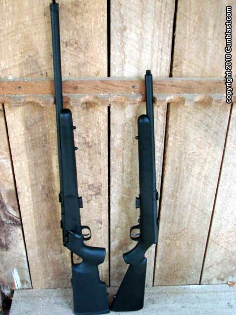 Looking For New 22lr Bolt Gun? Little Help? - Calguns.net